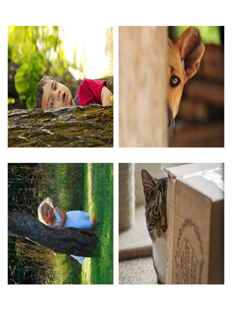 Prepositions - Basic - Printable File | PDF