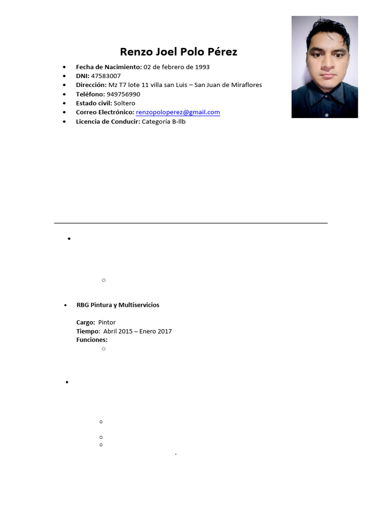 CV de Renzo Joel Polo Pérez | PDF