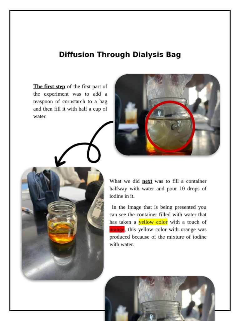 Diffusion Through Dialysis Bag | PDF