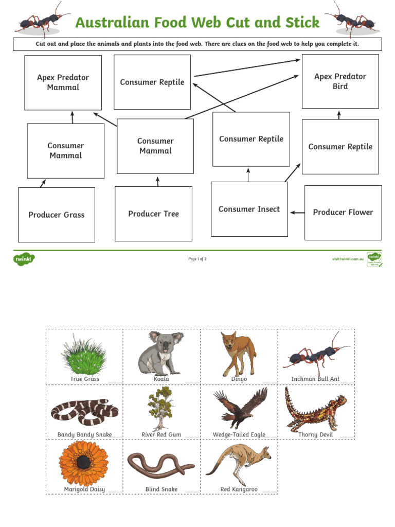 Au SC 1628128548 Australian Food Web Cut and Stick Worksheet - Ver - 2 ...