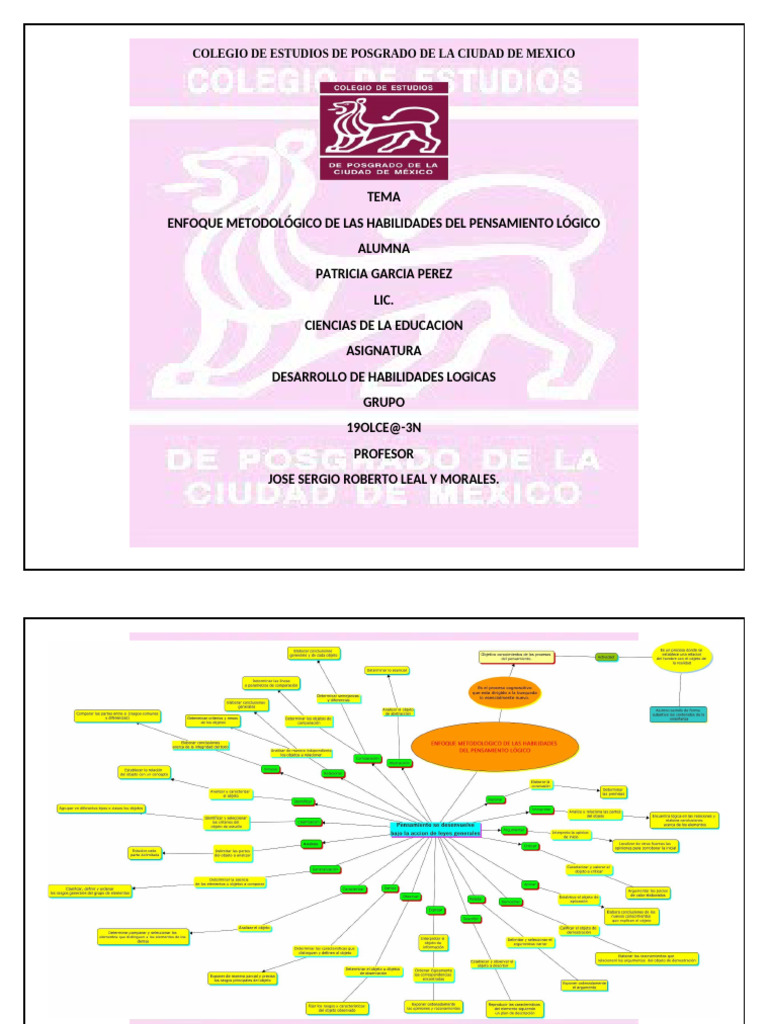 MAPA CONCEPTUAL. ENFOQUE | PDF