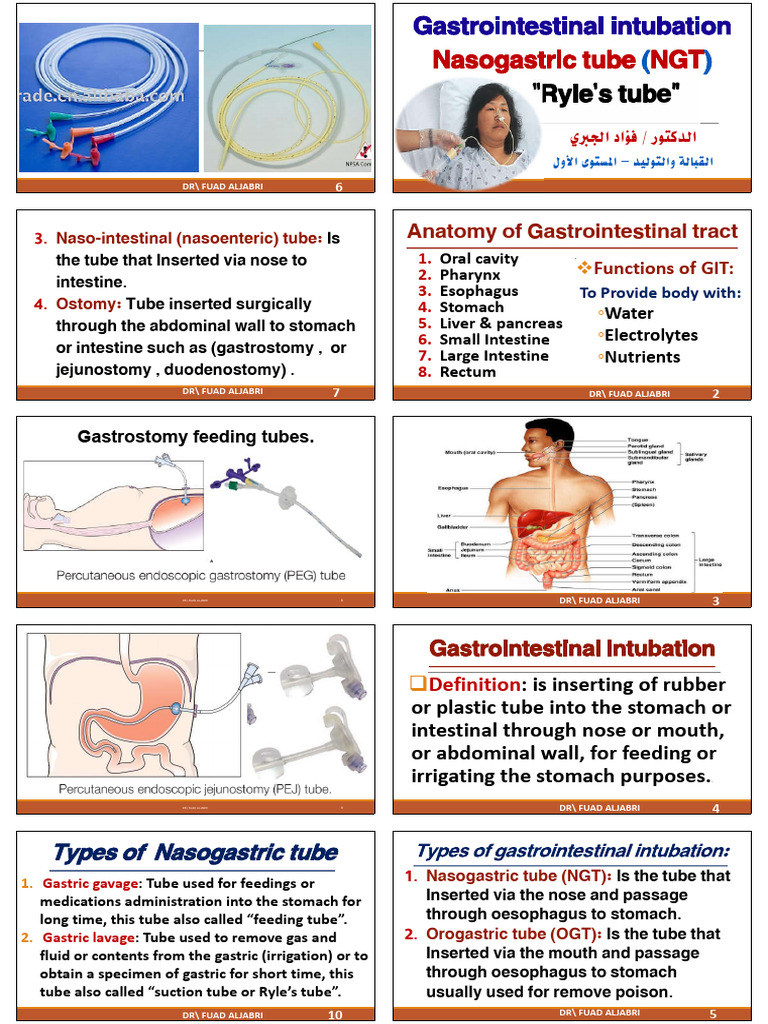 Nasogastric Tube Insertion Guide | PDF | Gastrointestinal Tract | Stomach