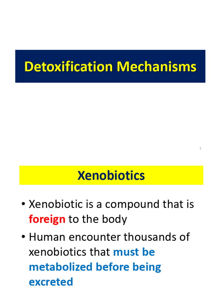 Detoxification Mechanism | PDF | Drug Metabolism | Glutathione