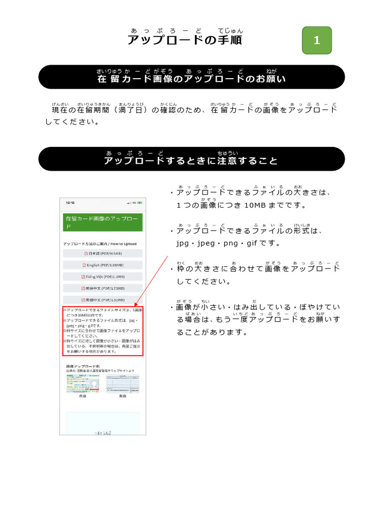 foreigner_input_ja | PDF