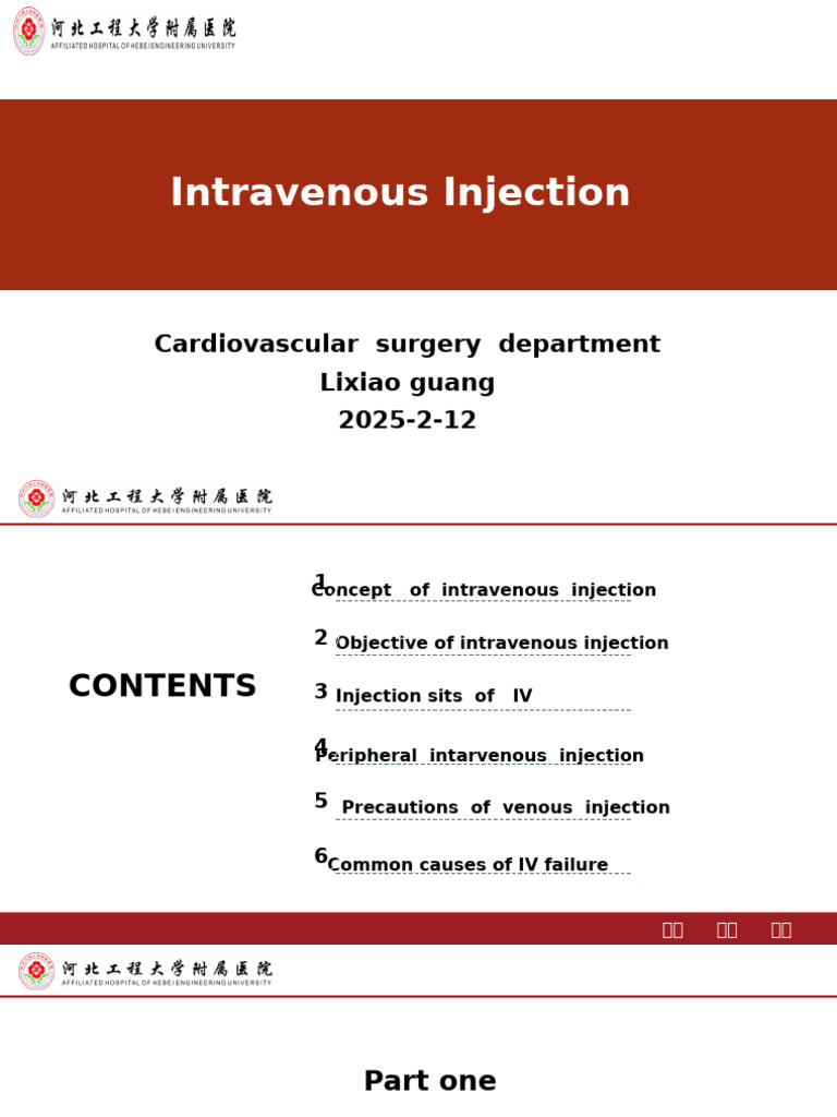 Intravenous Injection Guidelines and Techniques | PDF | Intravenous ...