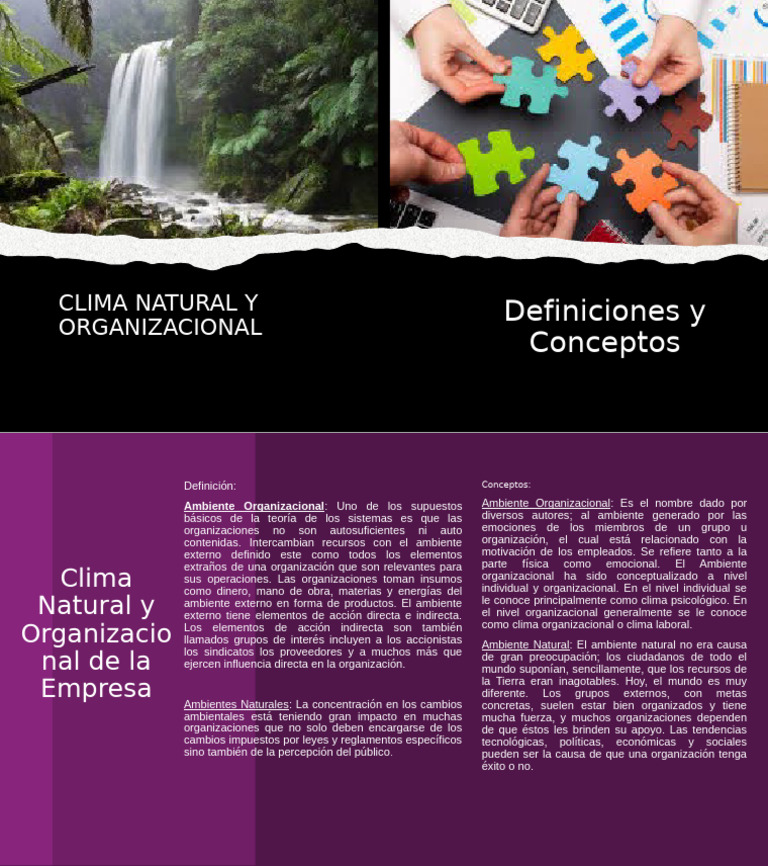 Conc y Def Clima Nat y Orga | PDF | Economias