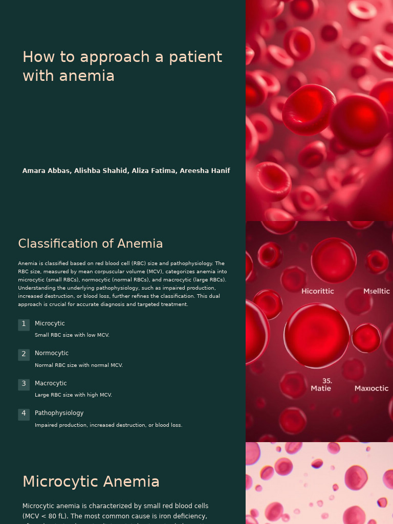 Understanding Anemia: Types & Management | PDF | Anemia | Medical ...