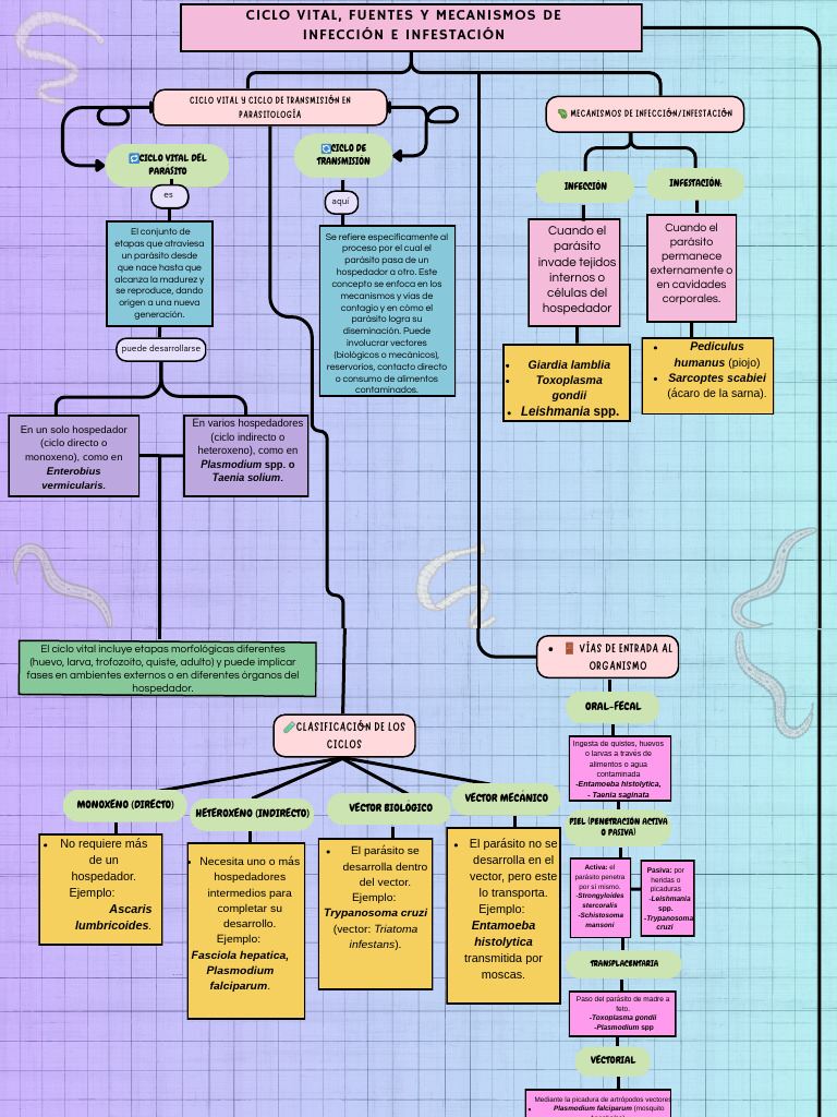 Tarea 2 - Mapa Conceptual | PDF | Plasmodium | Parasitismo