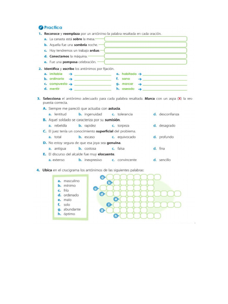 Actividad Antonimos | PDF