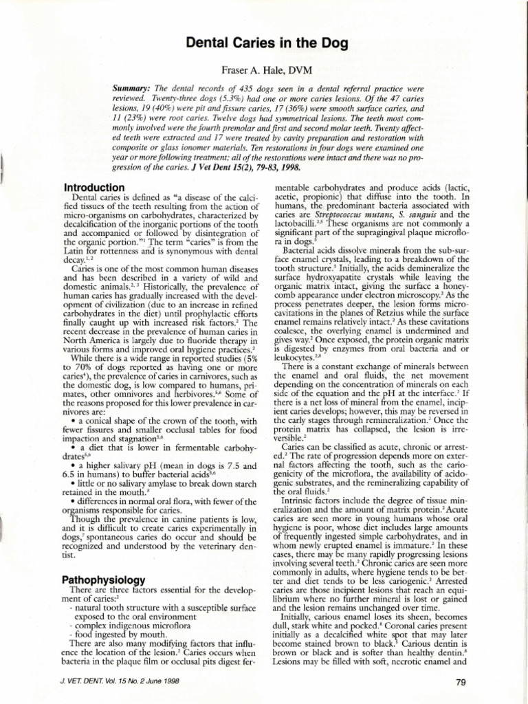 Dental Caries in the Dog | PDF | Human Tooth | Tooth Enamel