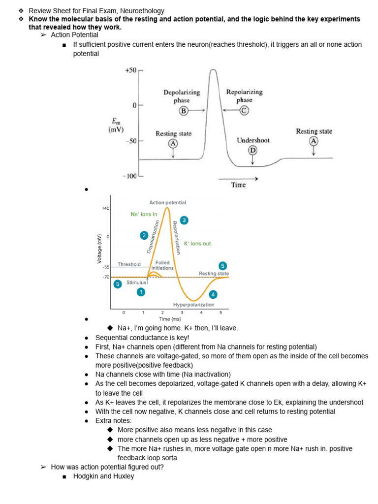 FInal exam psy358 | PDF | Classical Conditioning | Excitatory ...