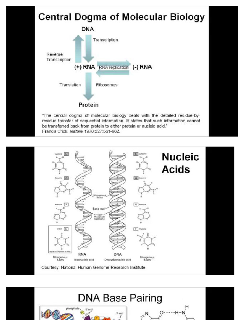 Nucleic Acid Biochemistry and Diagnostic Applications | PDF