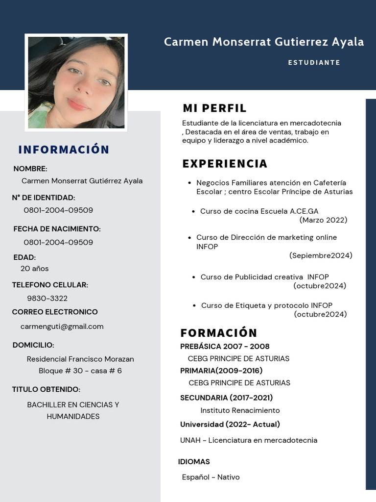 Currículum Vitae Asesor Financiero Profesional Corporativo Azul y Gris | PDF