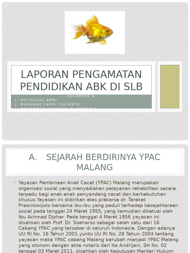 LAPORAN PENGAMATAN PENDIDIKAN ABK DI SLB | PDF