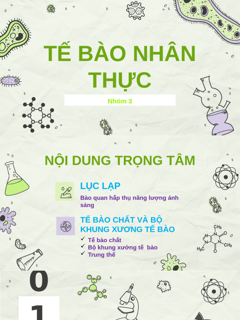 SINH 10A1-Nhóm 3 - Bài 8 | PDF