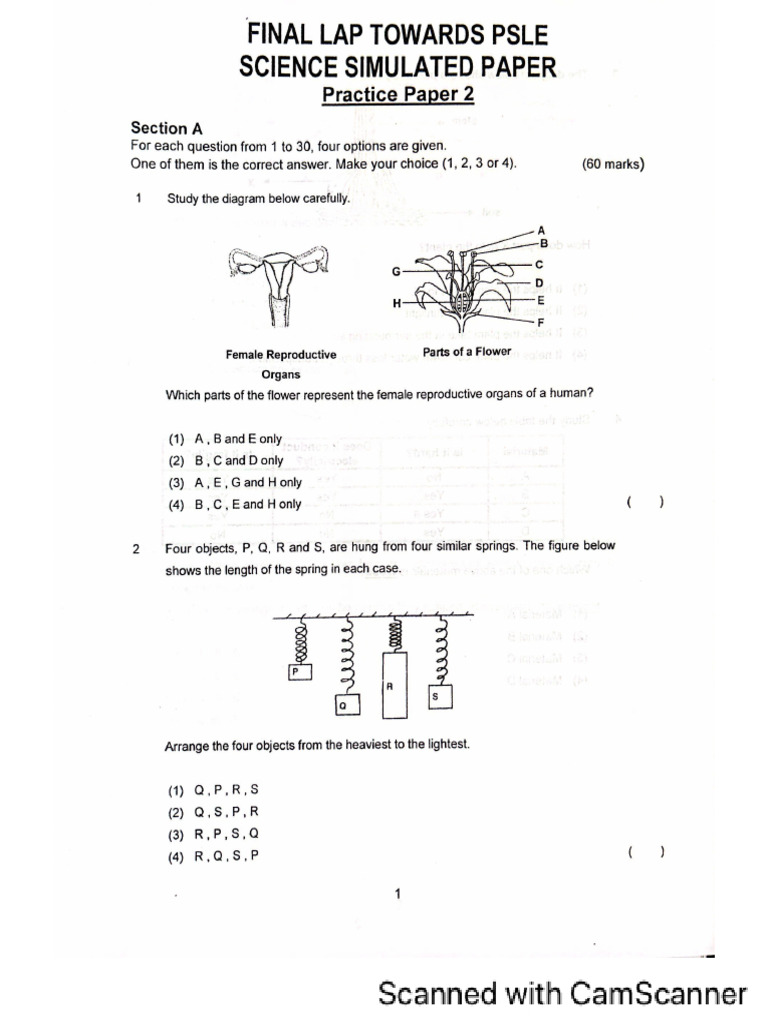 Final Lap Paper 2 | PDF
