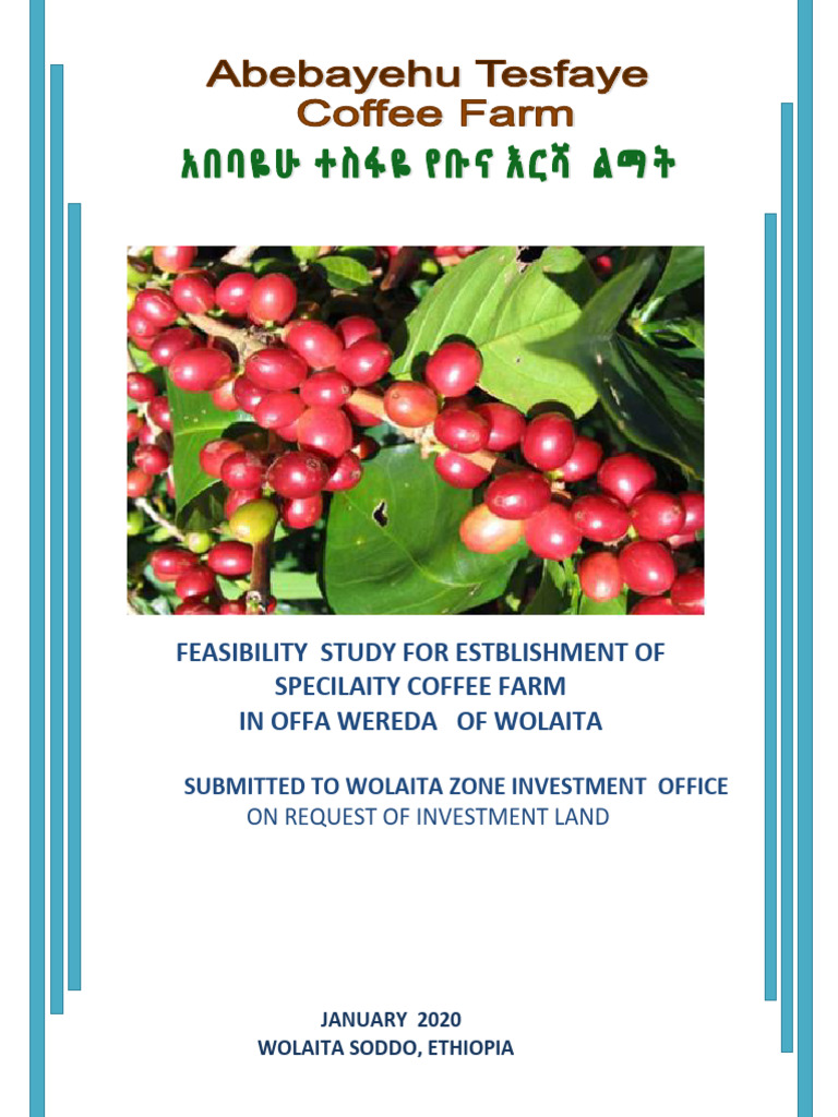 Feasibility Study for Coffee Farm in Wolaita | PDF | Coffee | Agriculture