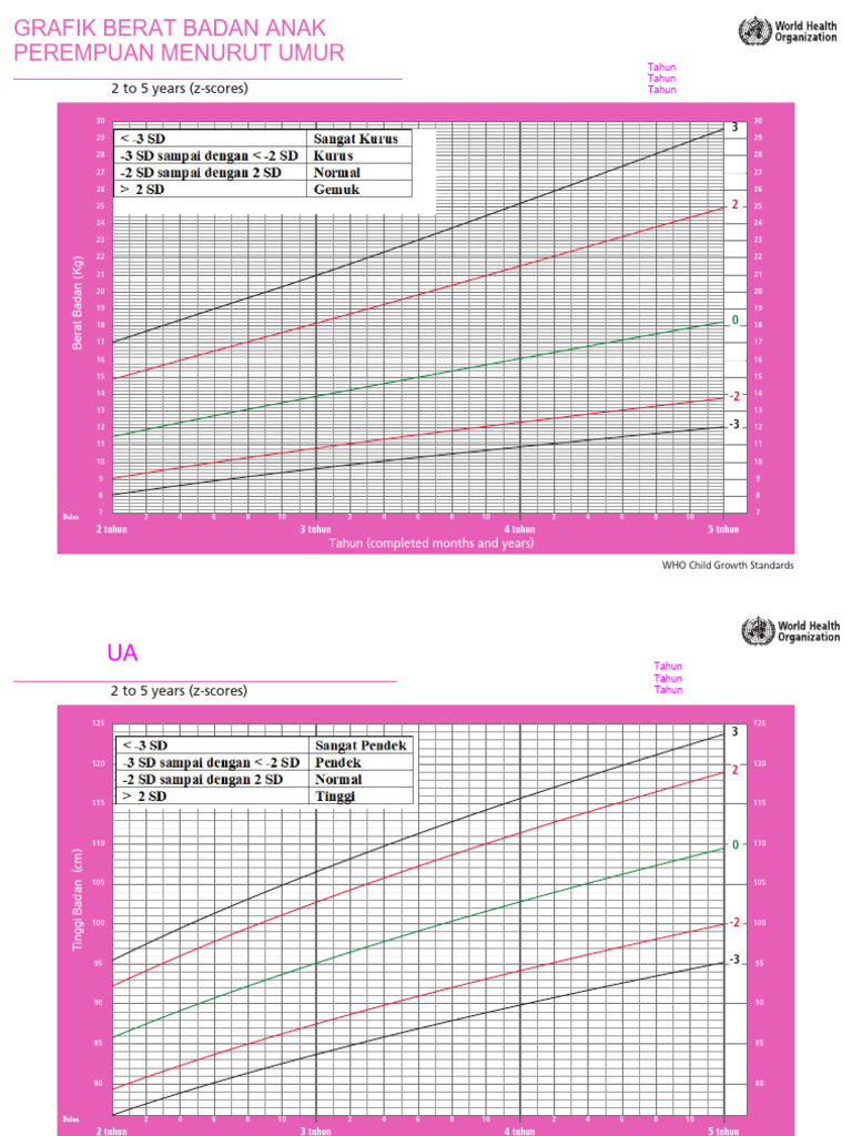 3 Grafik BB TB LK (Perempuan) | PDF