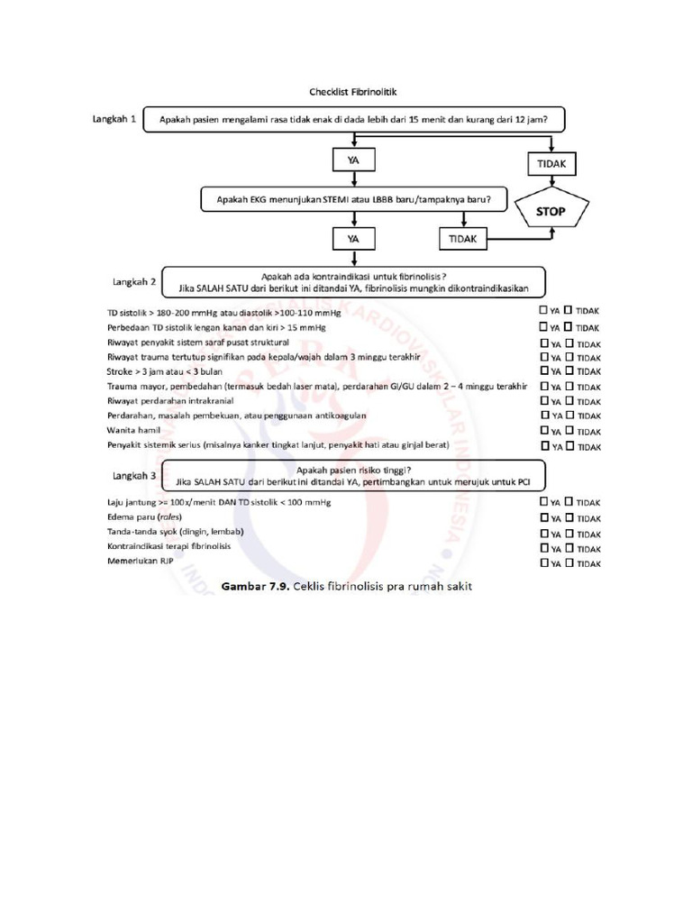 Ceklis Fibrinolitik Alteplase | PDF
