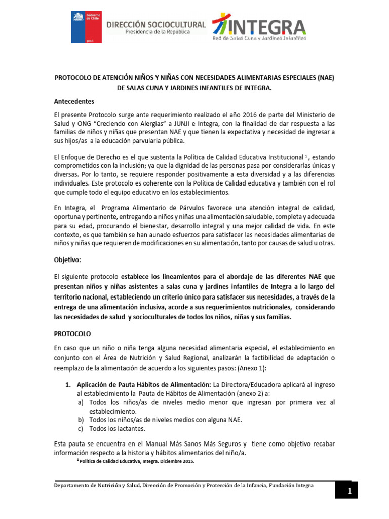 2017 3 Protocolo Nae Integra | PDF | Educación de la primera infancia | Alimentos