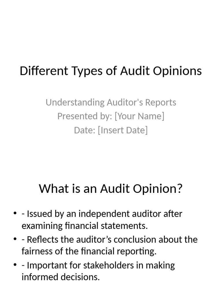 Types of Audit Opinions Explained | PDF