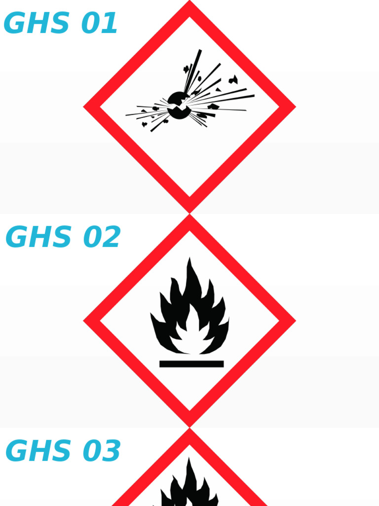 PICTOGRAM GHS - BIG | PDF