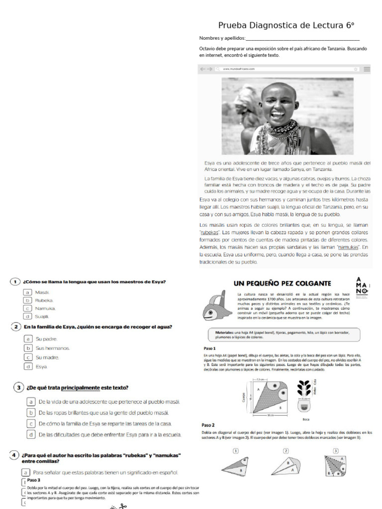 Prueba Diagnostica de Lectura 6 | PDF