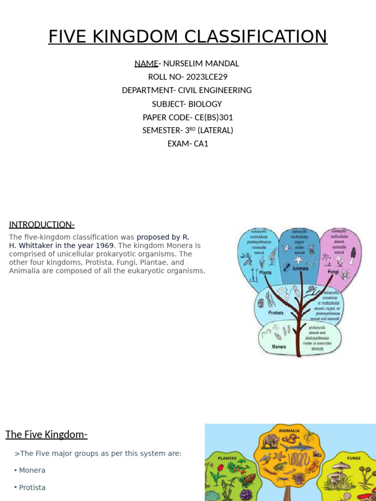 Overview of Five Kingdom Classification | PDF | Fungus | Cell (Biology)