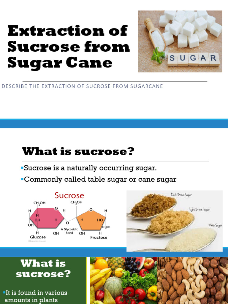 Sucrose Extraction From Sugar Cane | PDF | Sugarcane | Sucrose