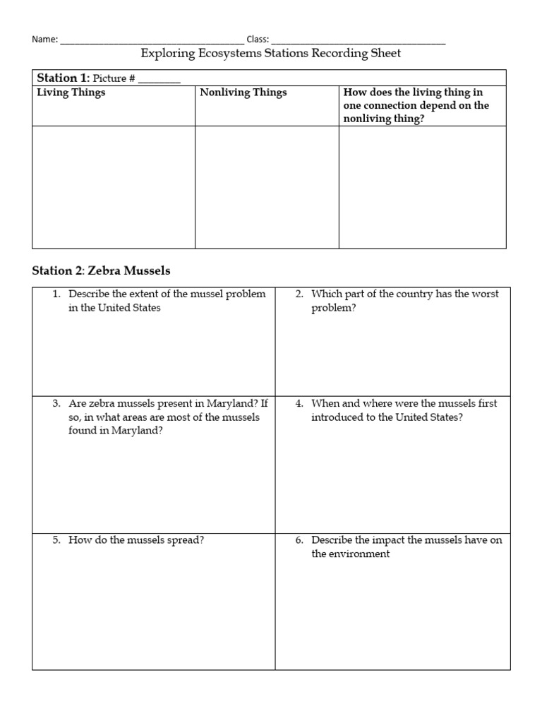 Aaron Schindler - Exploring Ecosystems Stations Recording Sheet | PDF ...