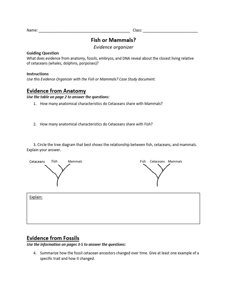 Aaron Schindler - Evidence of Evolution Packet | PDF | Cetacea | Mammals