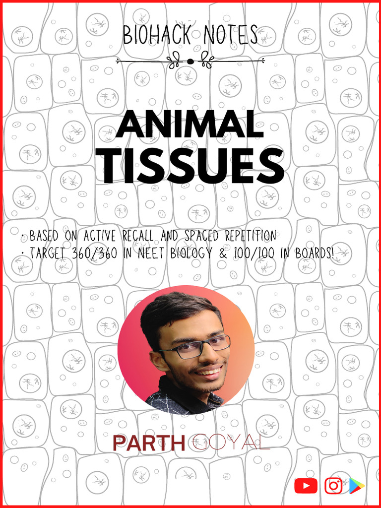 Comprehensive Guide to Animal Tissues | PDF | Epithelium | Tissue (Biology)