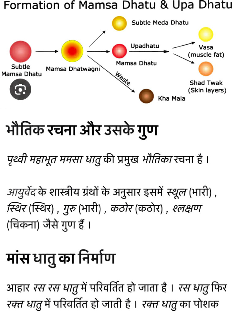 Mamsa Dhatu and Its Upadhatus | PDF