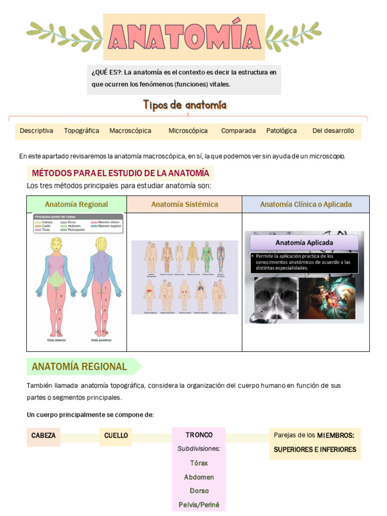 Generalidades Anatomicas | PDF | Términos anatómicos de ubicación ...