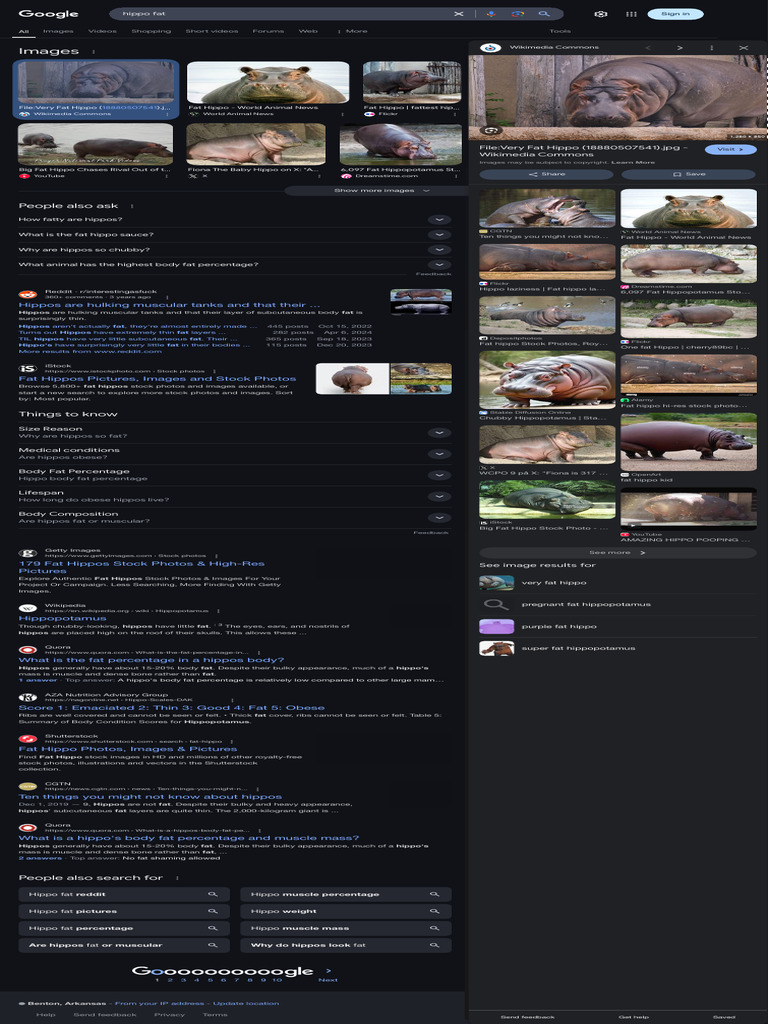 Hippo Fat - Google Search | PDF | Hippopotamus