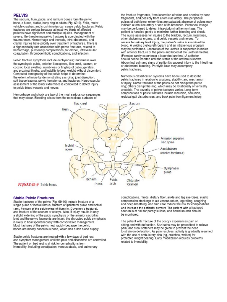 Pelvis: Stable Pelvic Fractures | PDF | Pelvis | Urinary Incontinence