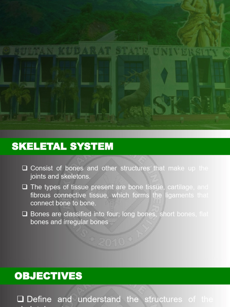 Anaphy Skeletal System | PDF | Vertebral Column | Human Nose
