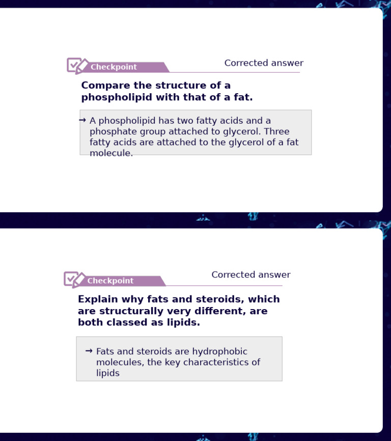 Checkpoint Questions | PDF