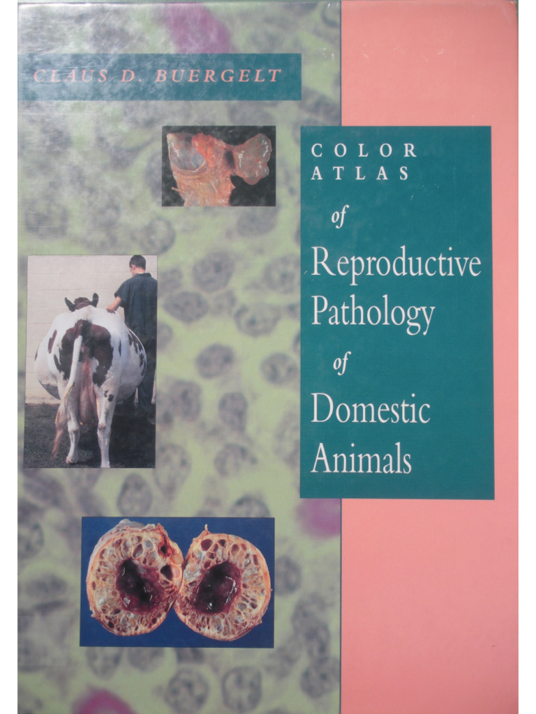 Color Atlas of Reproductive Pathology of Domestic Animals | PDF