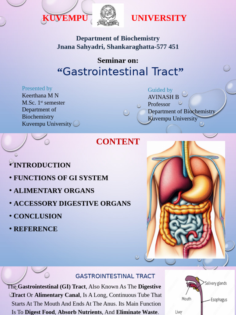 Overview of the Gastrointestinal Tract | PDF | Digestion ...