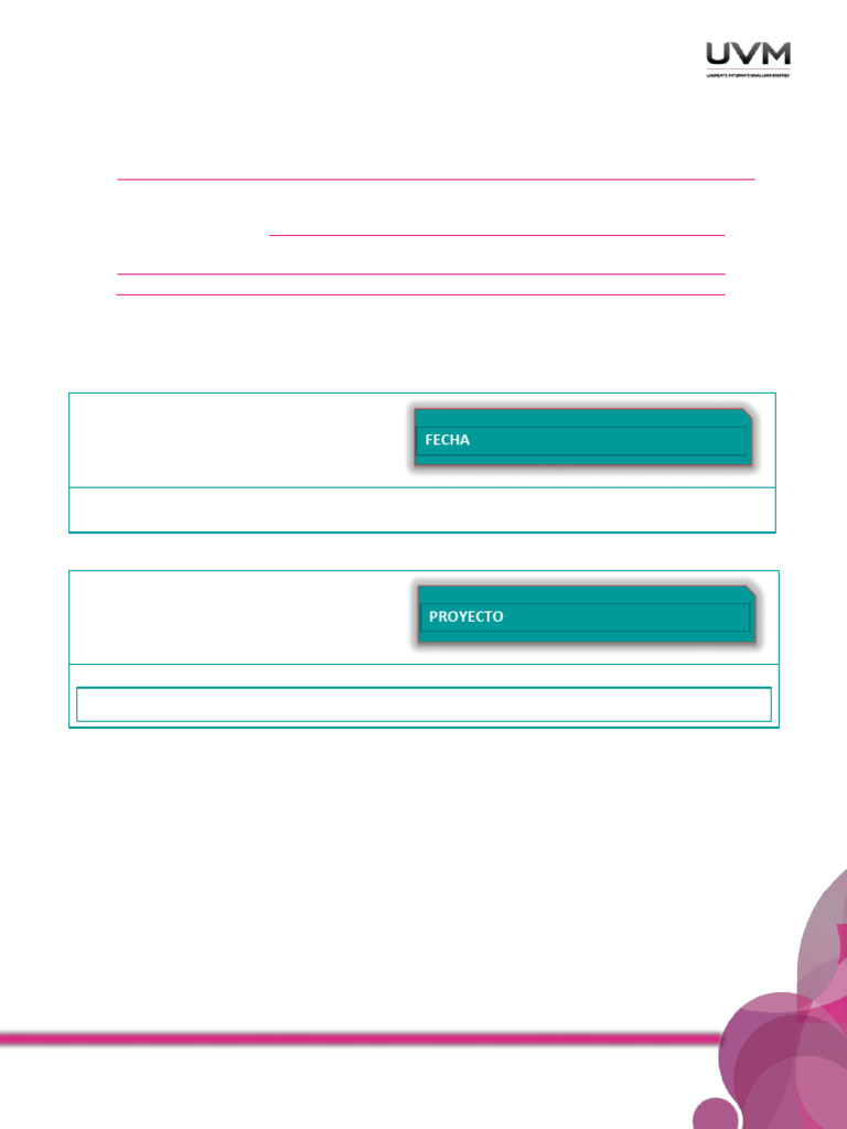 PE2 - Reporte de Junta Inicio | PDF