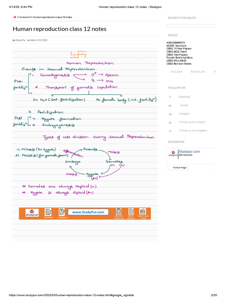 Human Reproduction Class 12 Notes - Studypur | PDF | Biological ...