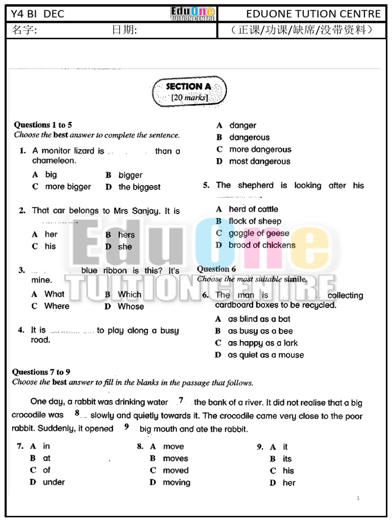 Y4 Bi Dec Student | PDF