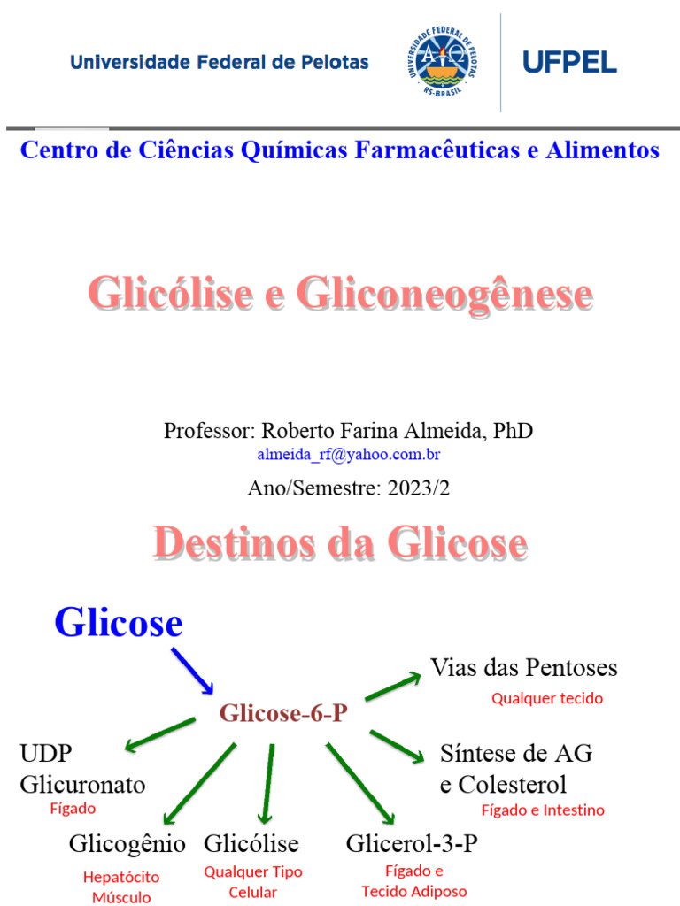 Glicólise e Gliconeogênese: Mecanismos e Regulações | PDF | Glicolise ...
