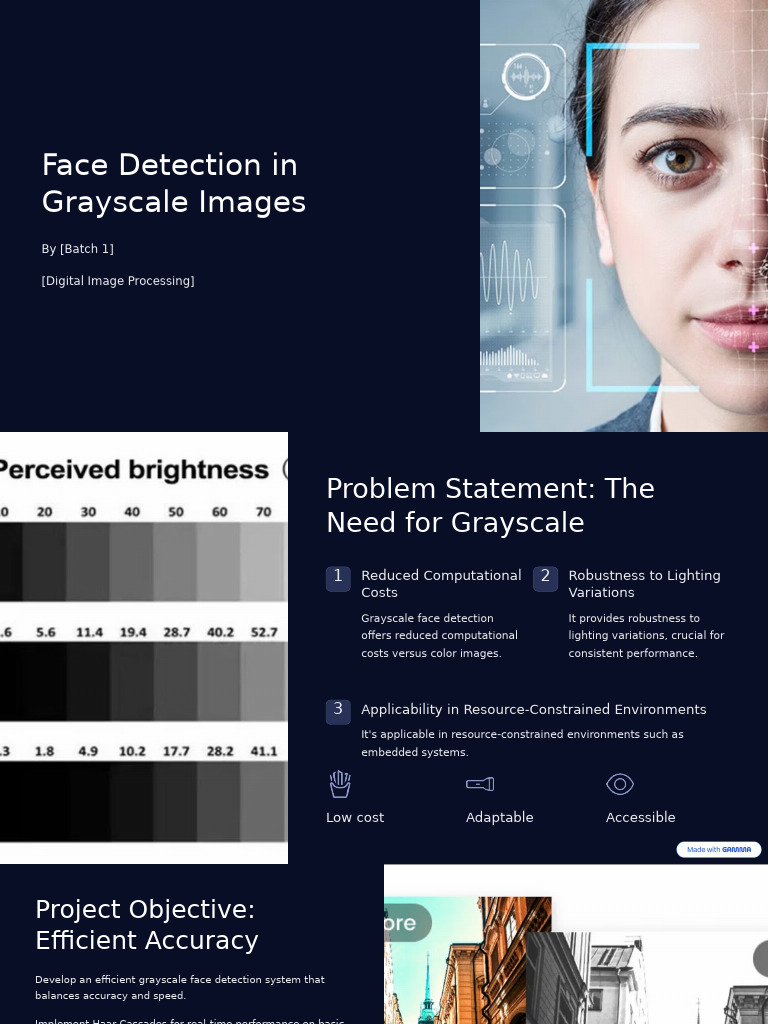 Grayscale Face Detection Techniques | PDF | Artificial Intelligence | Intelligence (AI) & Semantics