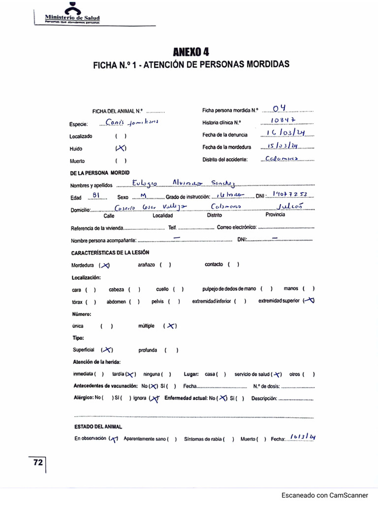 Ficha 04-2024 - Mordedura Perro | PDF