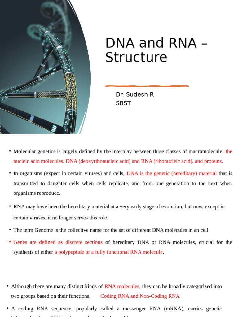 2-DNA RNA Protein Structure-22!07!2024 (2) | PDF | Rna | Nucleotides