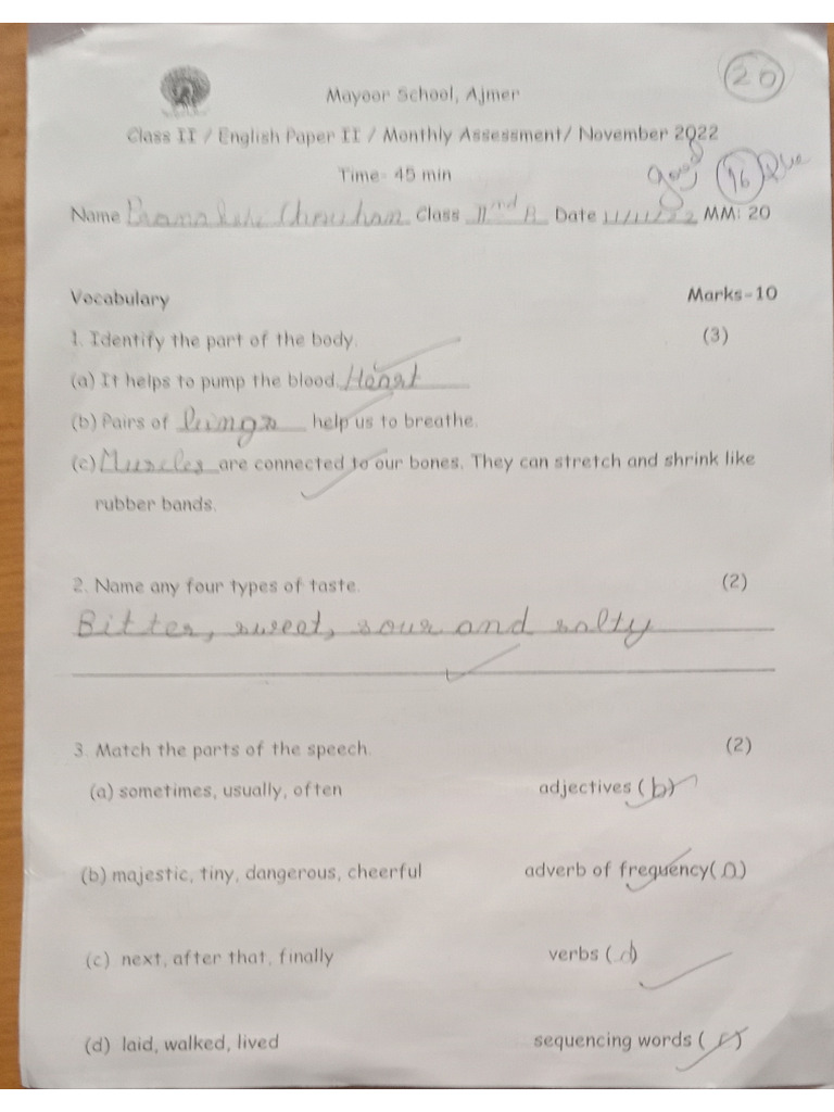 Mayoor-CAIE-Class II-English Paper 2 | PDF