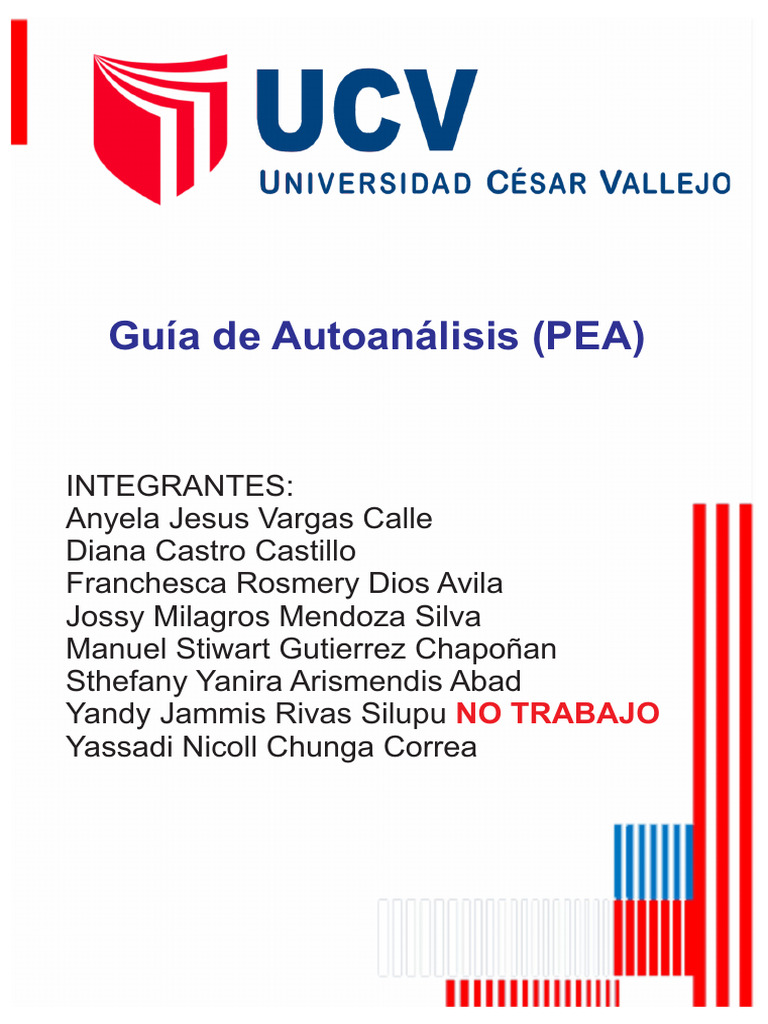 Guía de Autoanálisis (PEA) | PDF