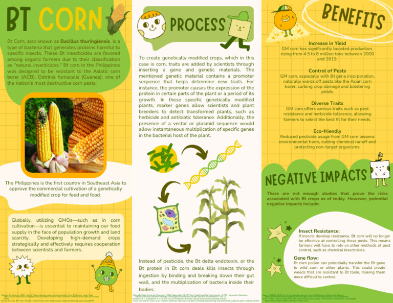 BT CORN / Bacillus Thuringiensis | PDF | Genetically Modified Crops ...